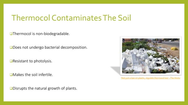 Thermocol A Threat To The Environment.pptx