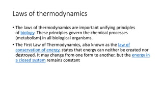 Thermodynamics in biological system.pptx