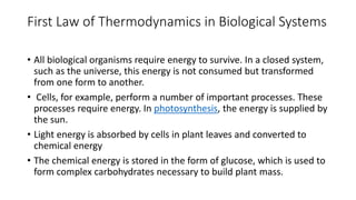 Thermodynamics in biological system.pptx