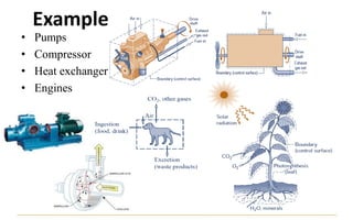 Thermodynamics concepts notes on basics of Thermofluids.pdf