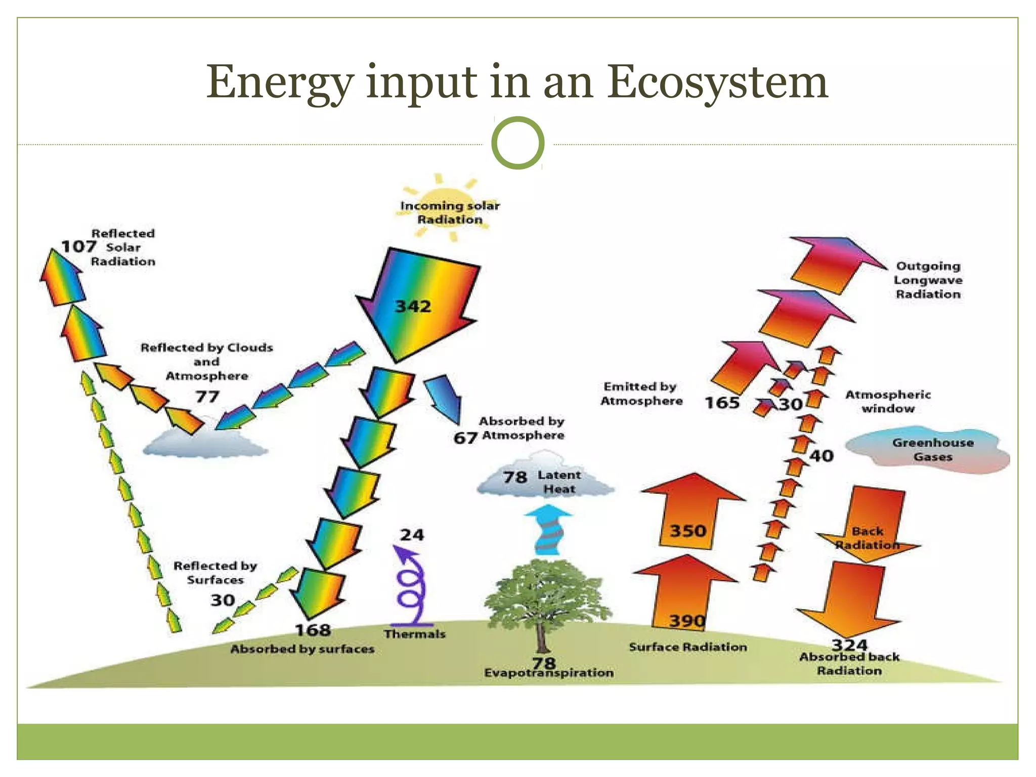 Thermodynamics in Ecology | PPT