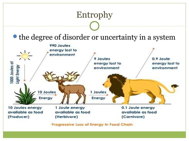 Thermodynamics in Ecology | PPT | Physics | Science