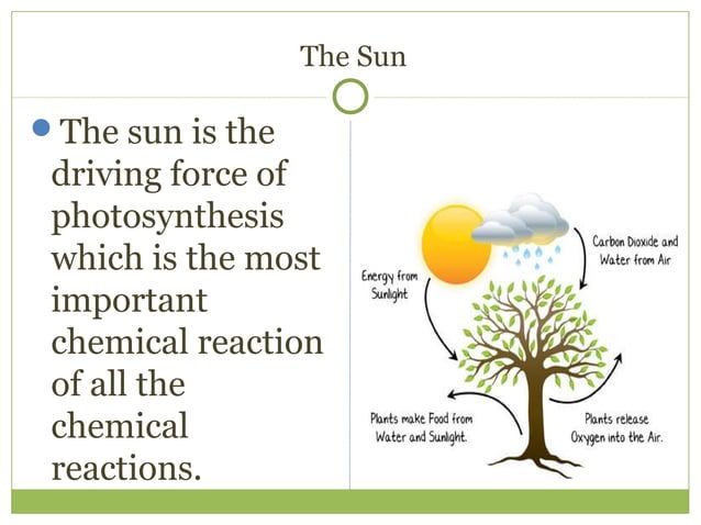 Thermodynamics in Ecology | PPT | Physics | Science
