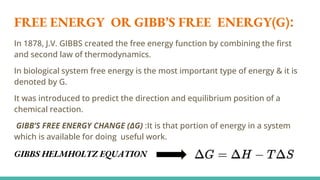 Thermodynamics presentation.pptx