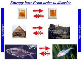 Science vs Evolution | PPT