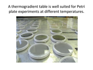 Thermogradient | PPT
