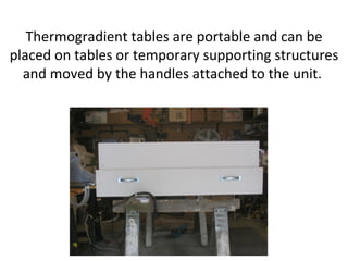 Thermogradient | PPT