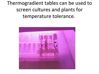 Thermogradient | PPT