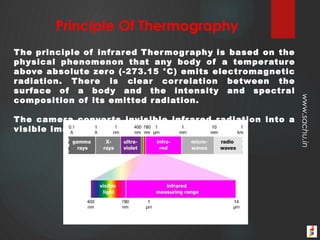 Thermography services | PPT