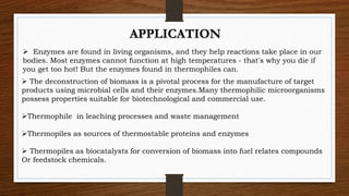 Thermophiles Examples Of Bacteria