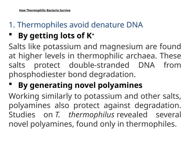 Extremophiles-Thermophiles, Barophiles, Halophiles | PPTX