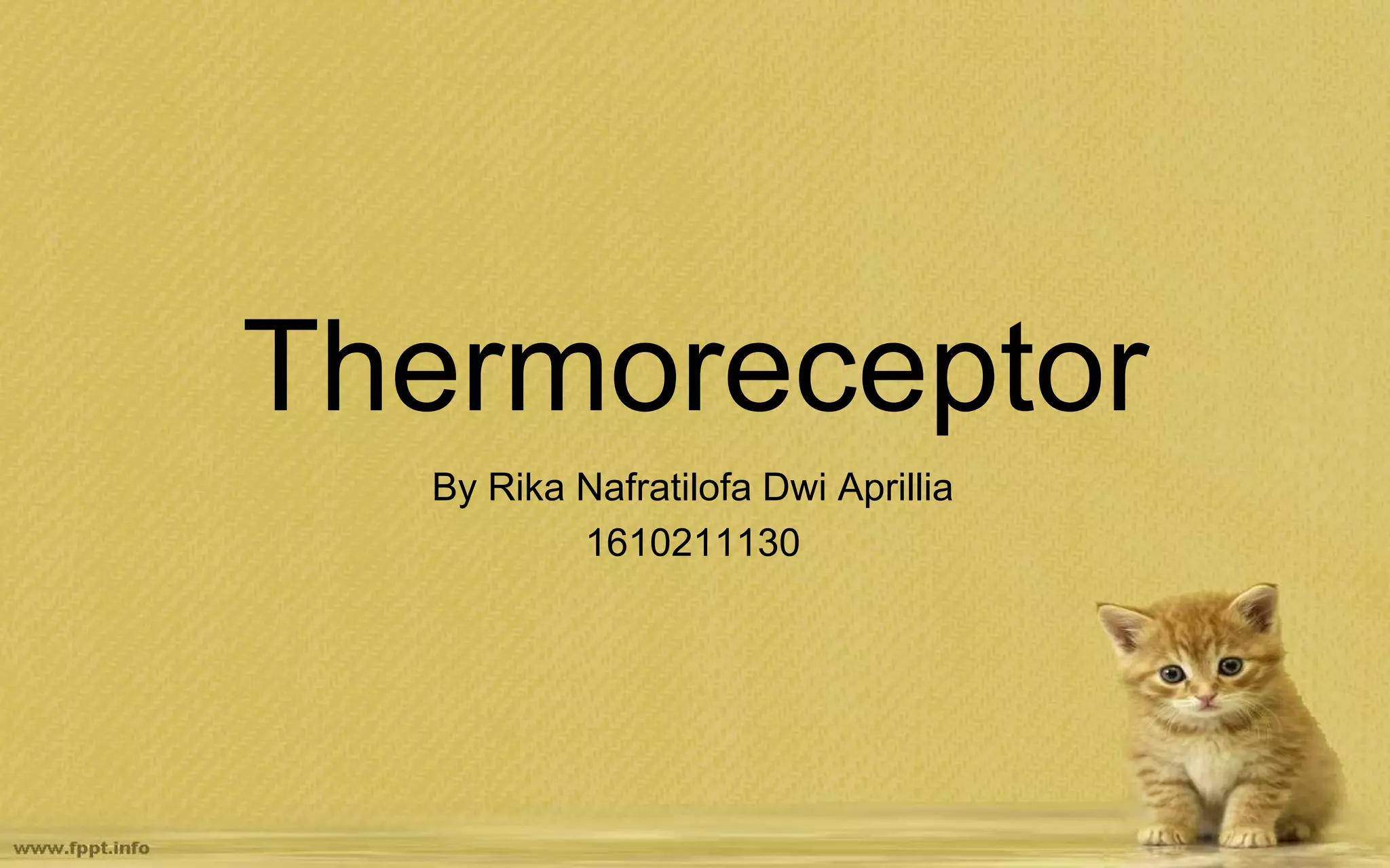 Thermoreceptor NBS.pptx