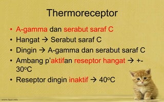 Thermoreceptor NBS.pptx