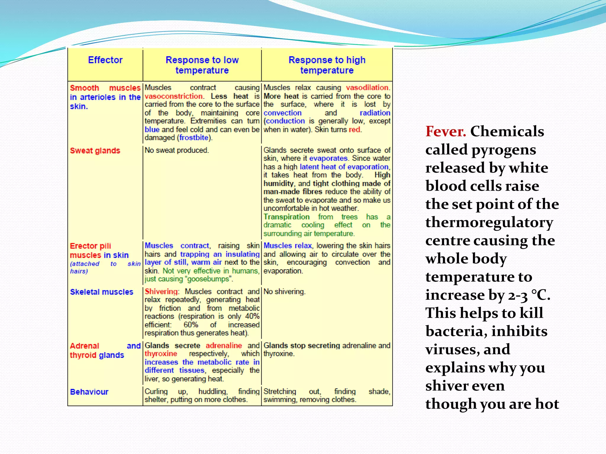 Thermoregulation | PPTX