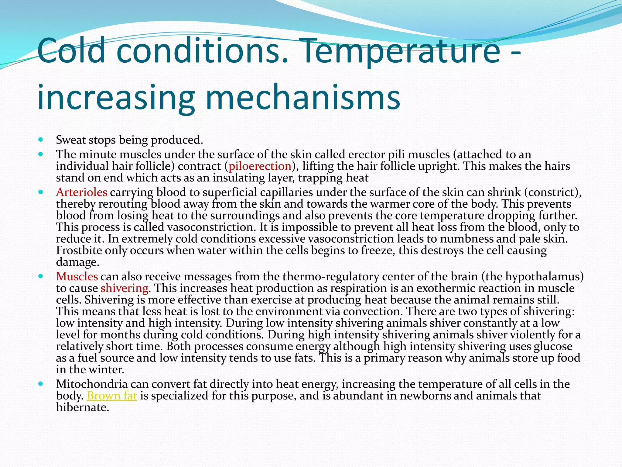 Thermoregulation | PPTX