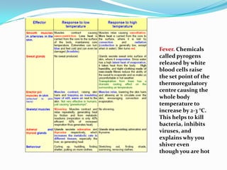 Thermoregulation | PPTX