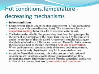 Thermoregulation | PPTX
