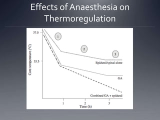 Thermoregulation | PPTX