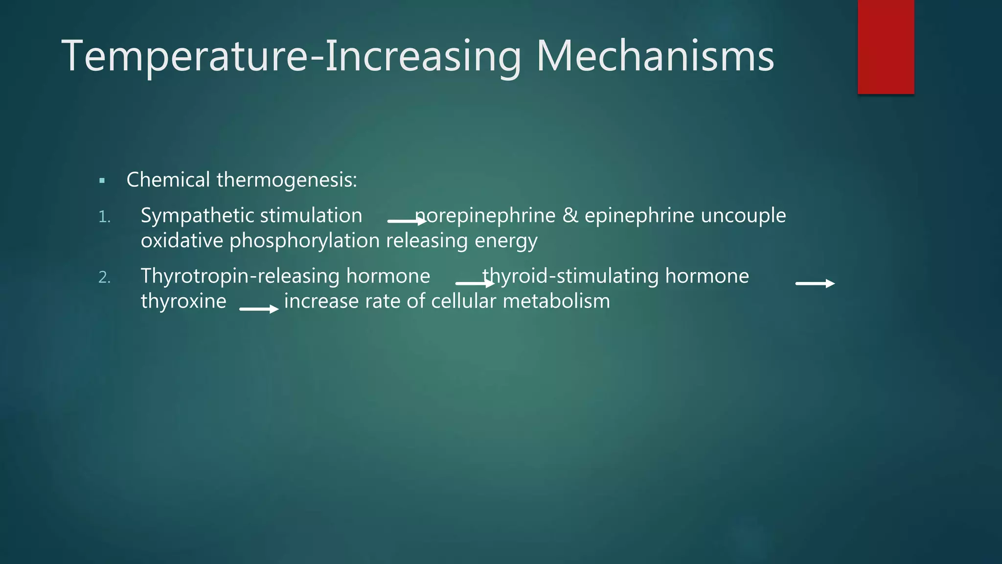 Thermoregulation | PPTX