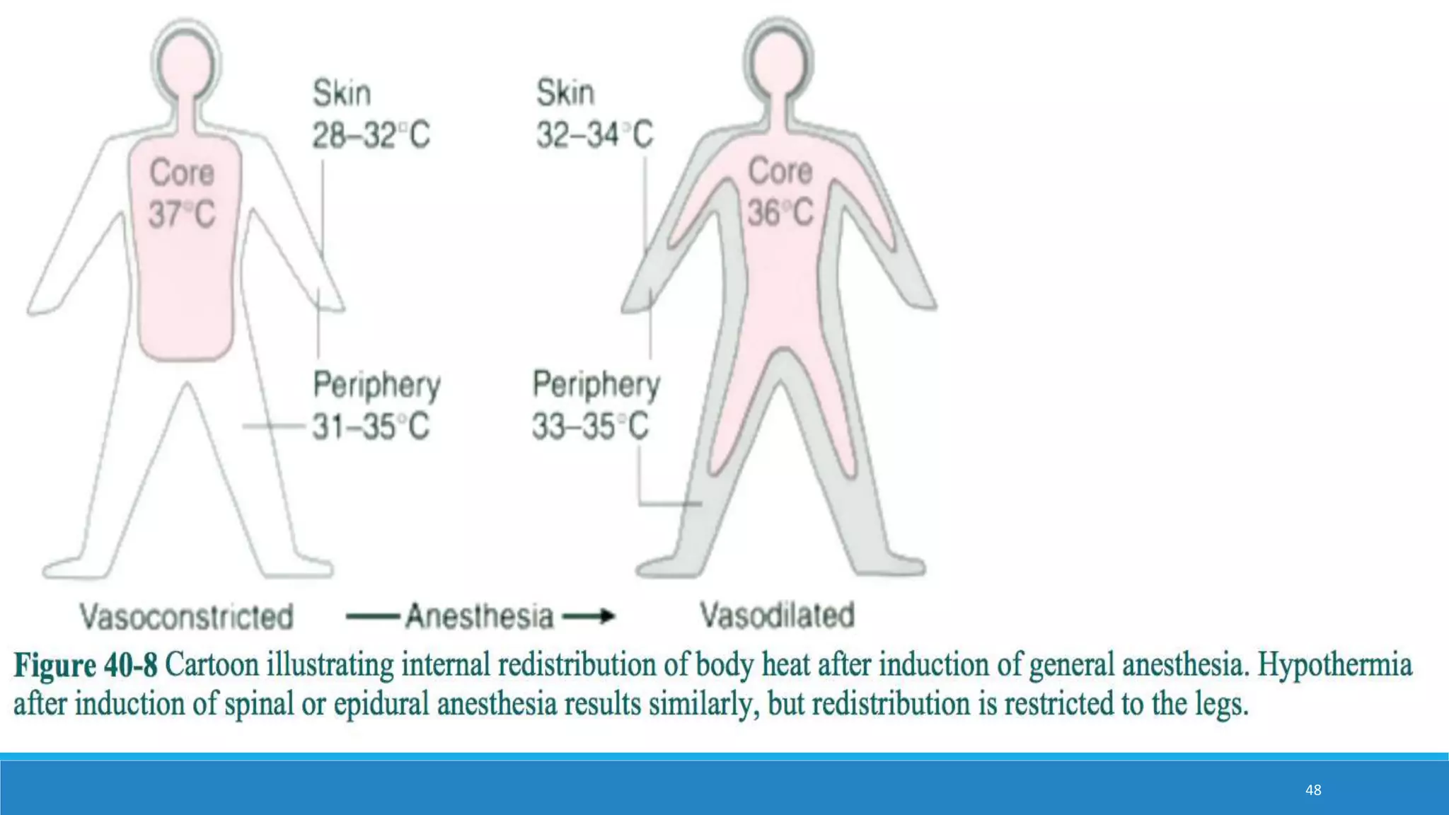 Thermoregulation | PPTX