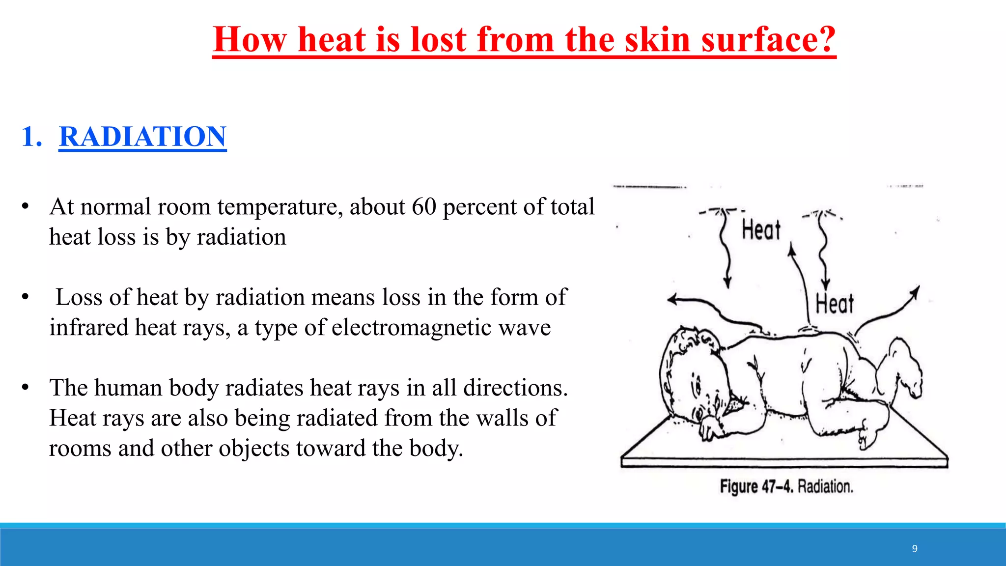 Thermoregulation | PPTX