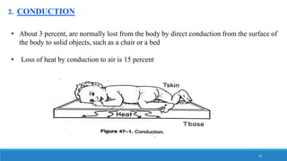 Thermoregulation | PPTX