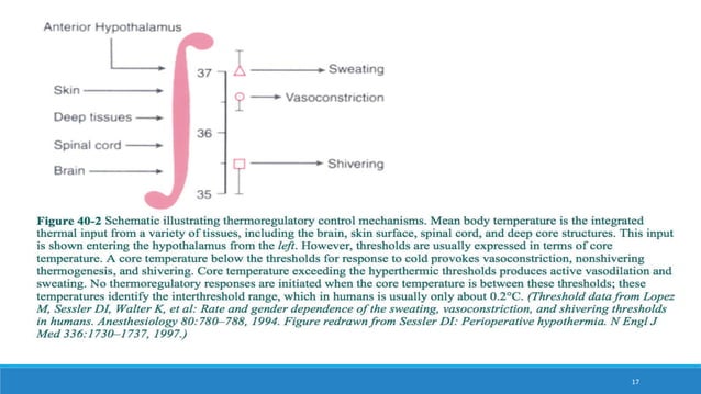 Thermoregulation | PPTX
