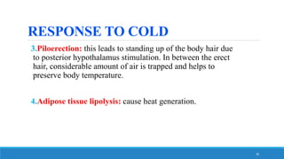 Thermoregulation | PPTX