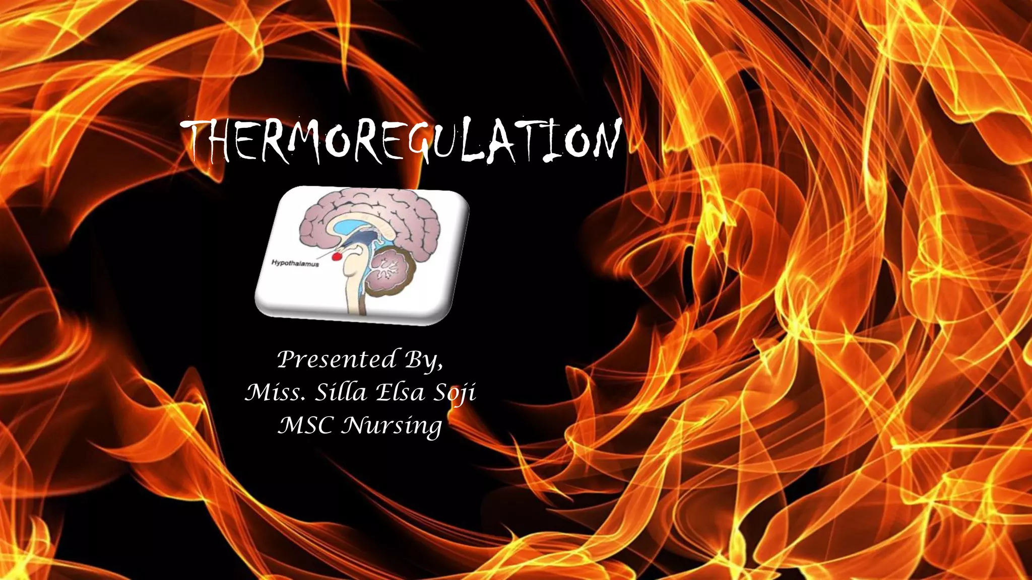 Thermoregulation in Human beings | PDF