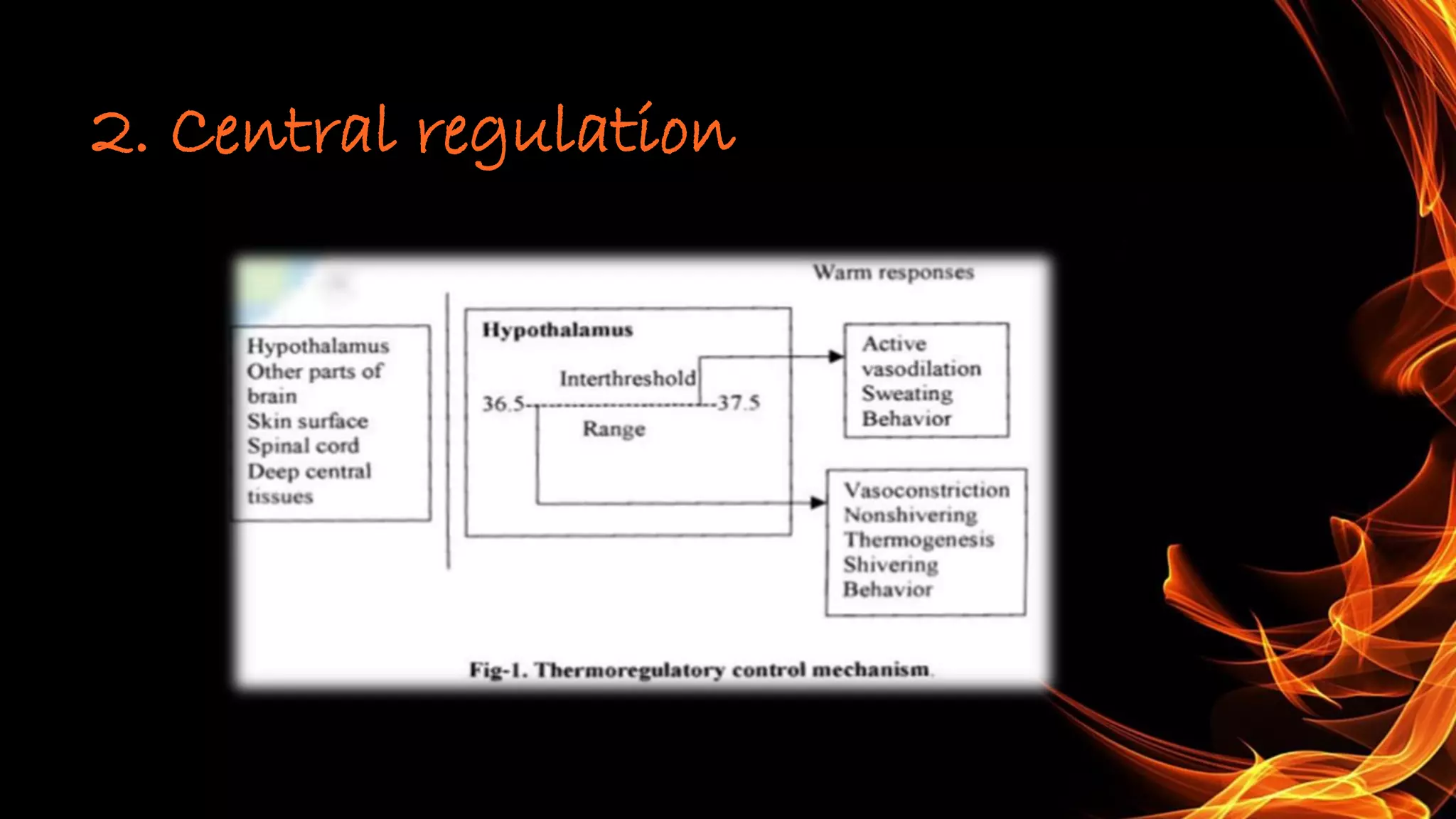 Thermoregulation in Human beings | PDF