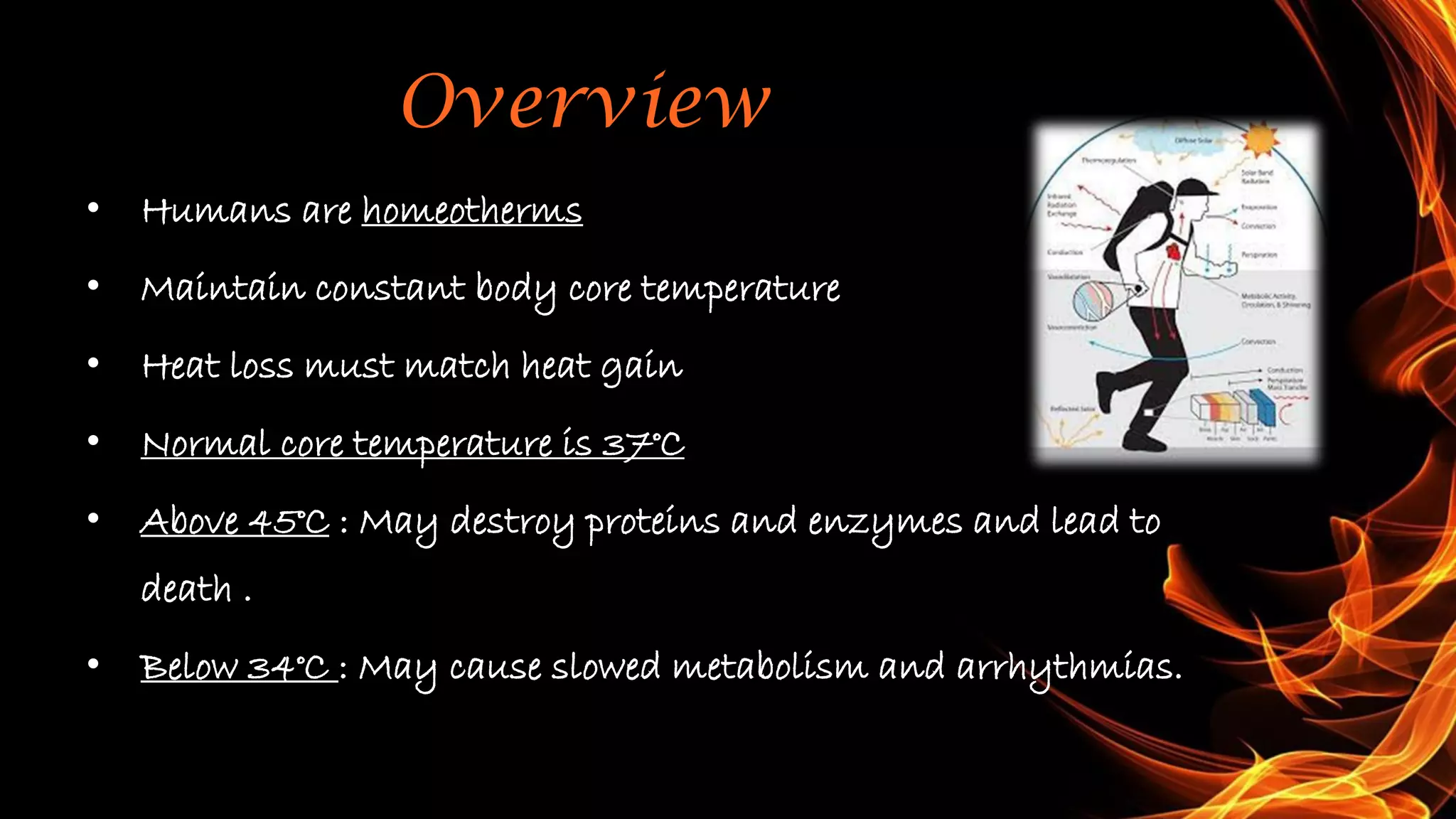 Thermoregulation in Human beings | PDF