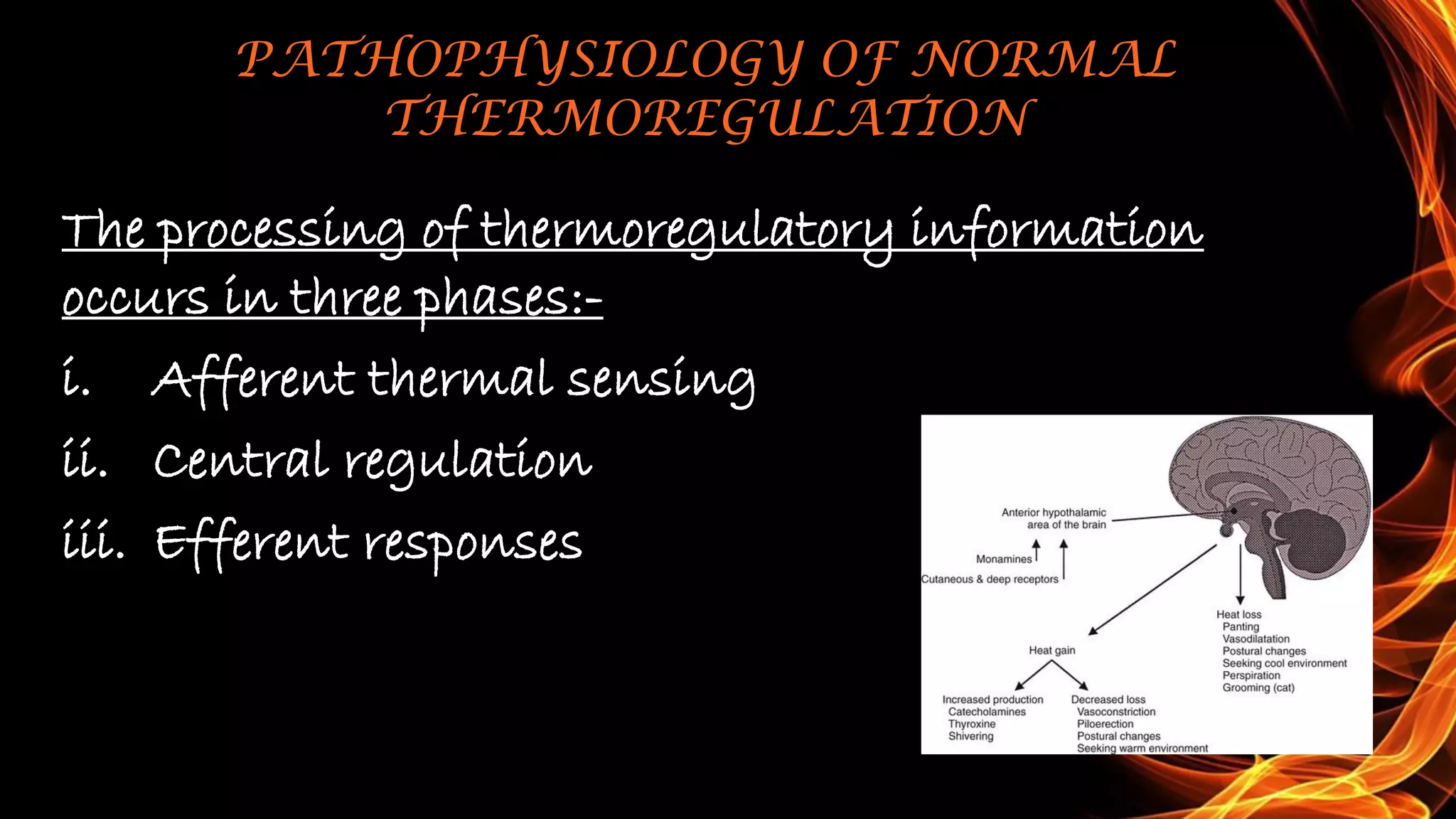Thermoregulation in Human beings | PDF