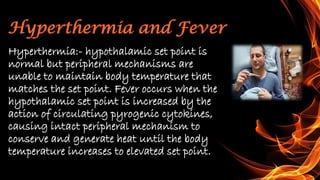 Thermoregulation in Human beings | PDF