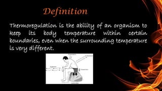 Thermoregulation in Human beings | PDF