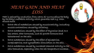 Thermoregulation in Human beings | PDF