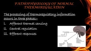 Thermoregulation in Human beings | PDF