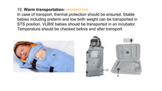 Thermoregulation Maintaining a stable internal temperature is vital for ...