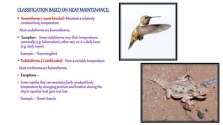 Thermoregulation and thermoregulatory functions in humans and other ...