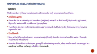 Thermoregulation and thermoregulatory functions in humans and other ...
