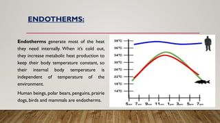 Thermoregulation and its physiology.pptx