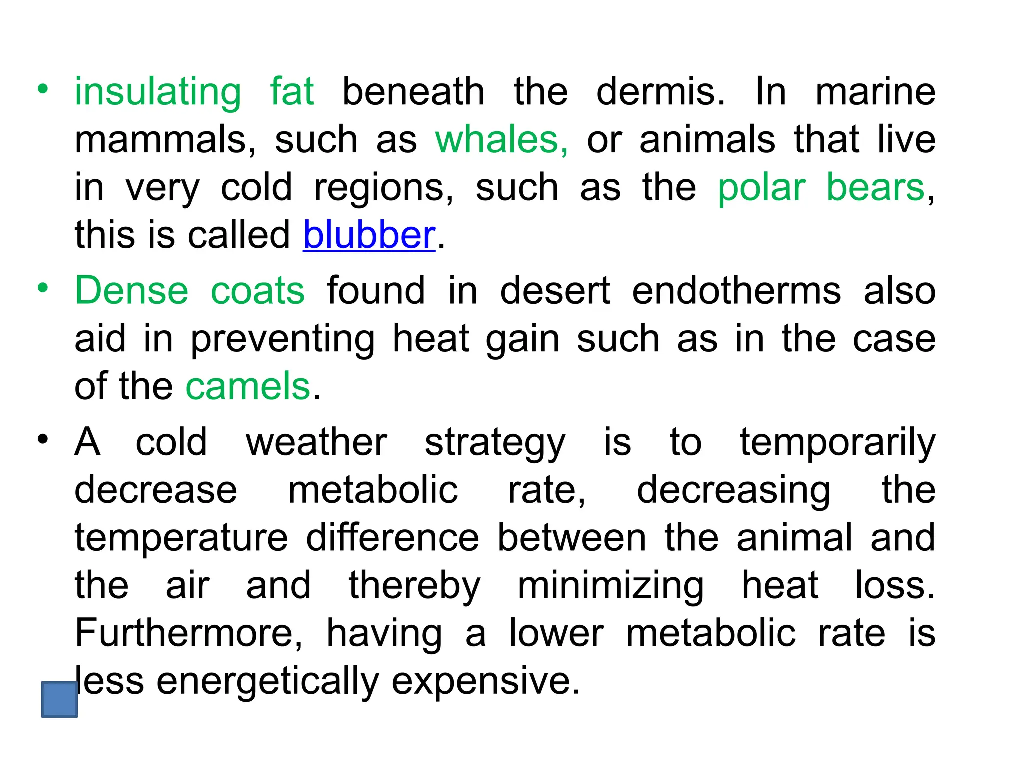 Thermoregulation and how different animals regulate their body ...