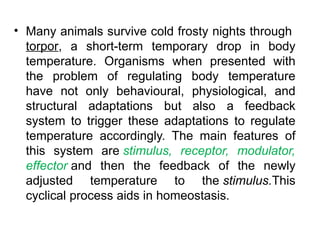 Thermoregulation and how different animals regulate their body ...