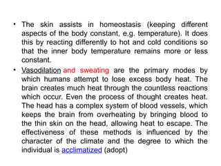 Thermoregulation and how different animals regulate their body ...