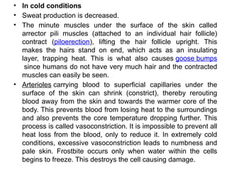 Thermoregulation and how different animals regulate their body ...