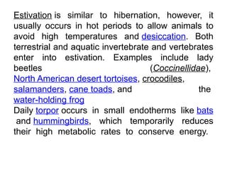 Thermoregulation and how different animals regulate their body ...