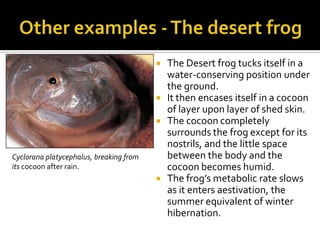 Thermoregulation and osmoregulation (bd) | PPTX