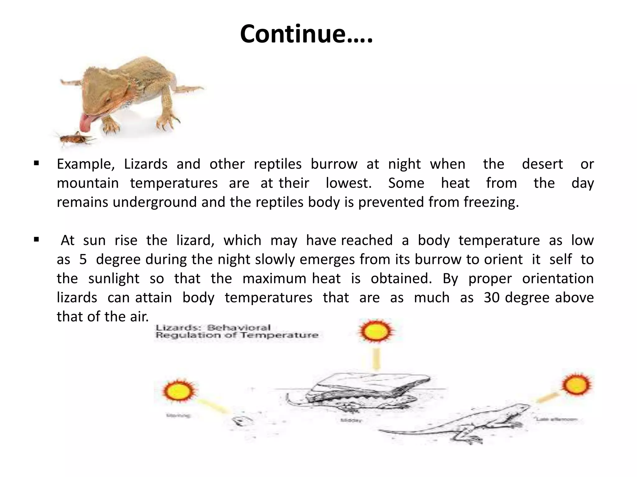Thermoregulation by sagar | PPTX