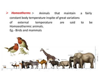 Thermoregulation by sagar | PPTX