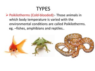 Thermoregulation by sagar | PPTX