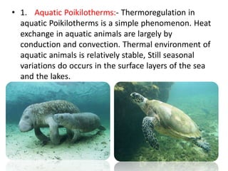 Thermoregulation by sagar | PPTX